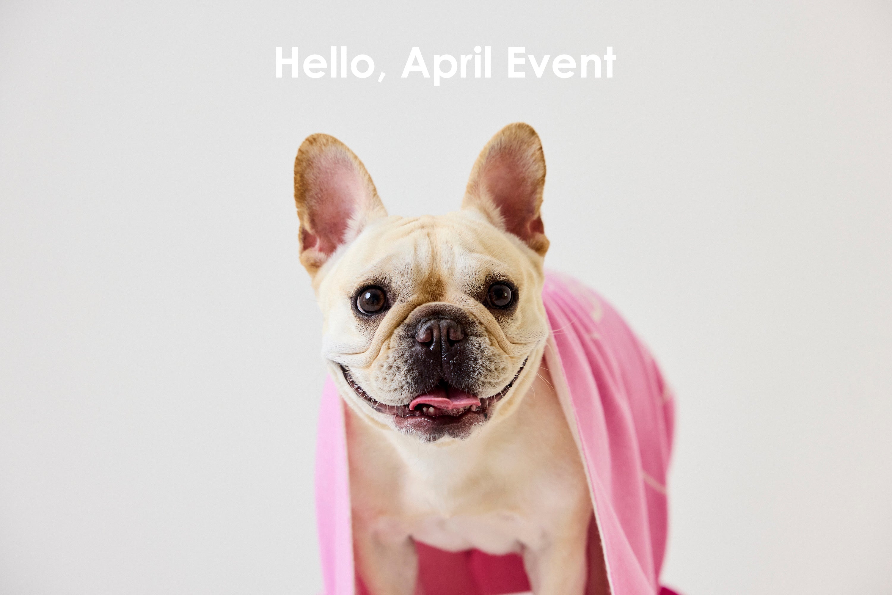 4月イベント出店のお知らせ – ComeUme