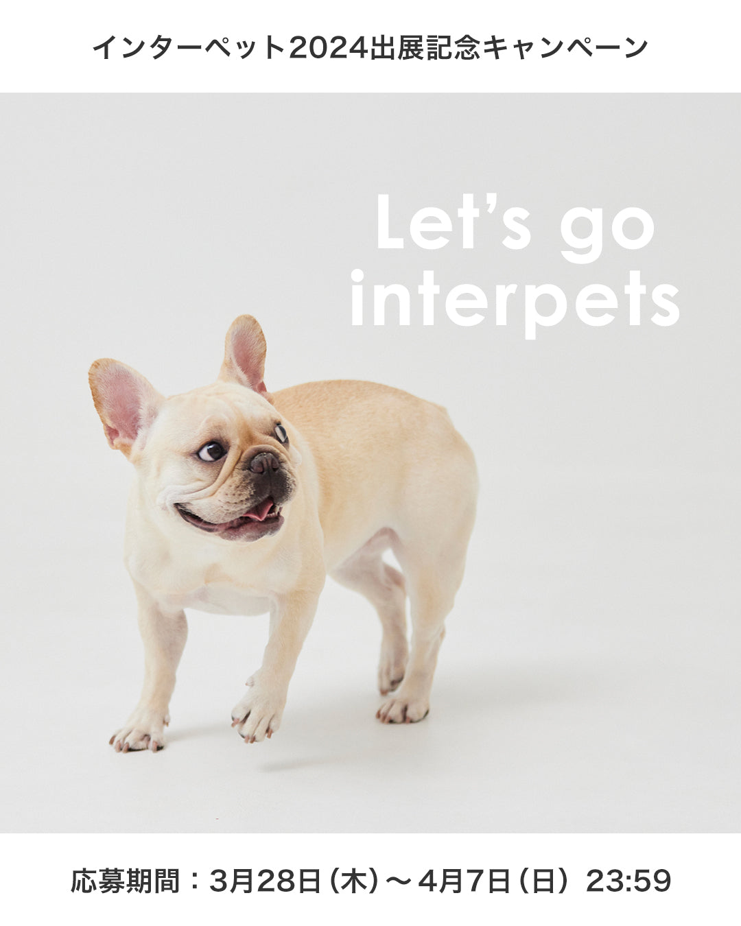 インターペット2024出展記念キャンペーン – ComeUme