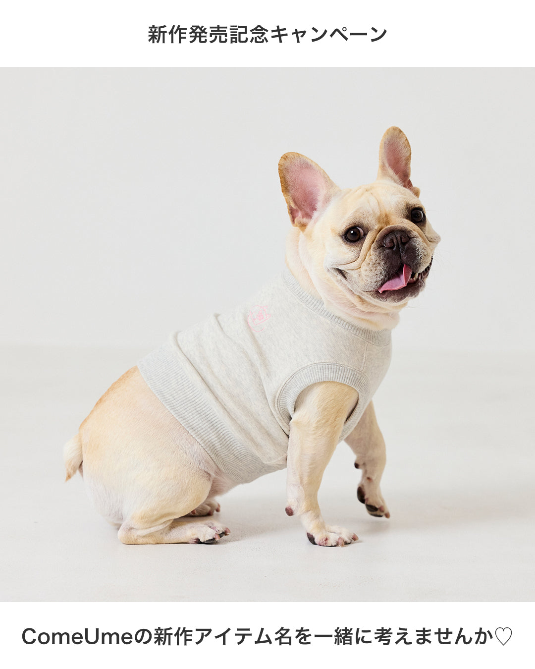 新作発売記念キャンペーン – ComeUme